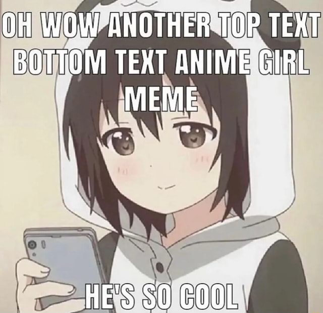 OH WOW ANOTHER TOP TEXT BOTTOM TEXT ANIME GIRL MEME HE'S COOL - iFunny