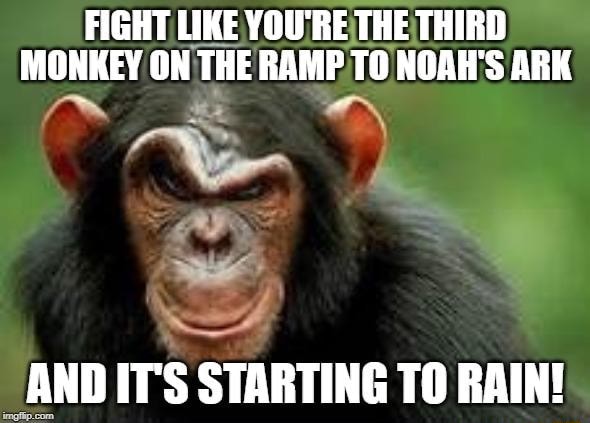 FIGHT LIKE YOU'RE THE THIRD MONKEY ON THE RAMP TO NOAH'S ARK AND IT'S ...