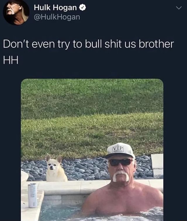 Hulk Hogan @ Don't even try to bull shit us brother HH - iFunny