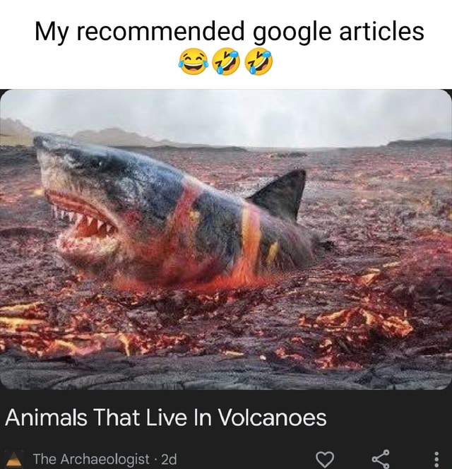 My recommended google articles aw Animals That Live In Volcanoes The ...