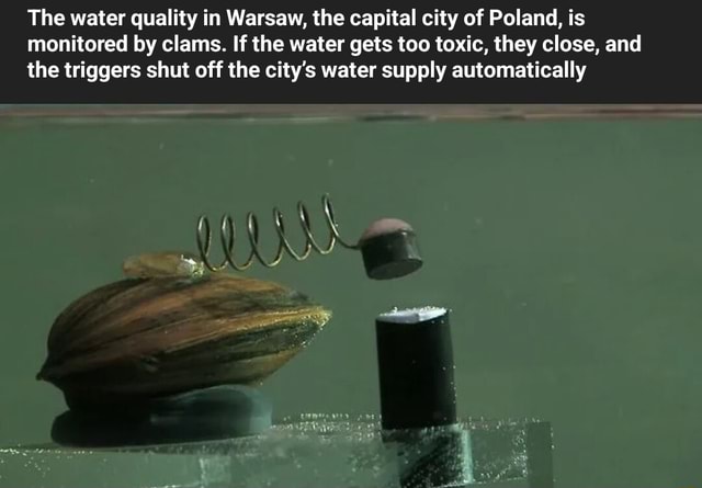 The water quality in Warsaw, the capital city of Poland, is monitored ...