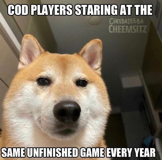 COD PLAYERS STARING AT THE SAME UNFINISHED GAME EVERY YEAR - iFunny