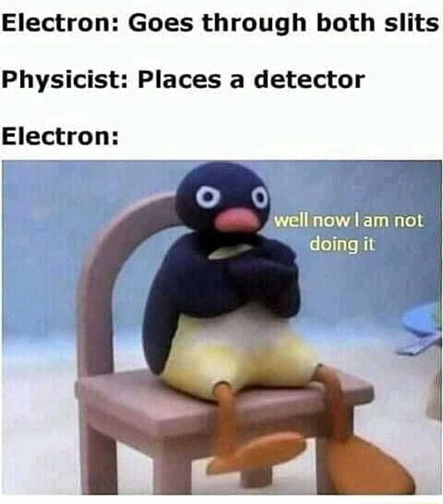 Electron: Goes through both slits Physicist: Places a detector Electron ...