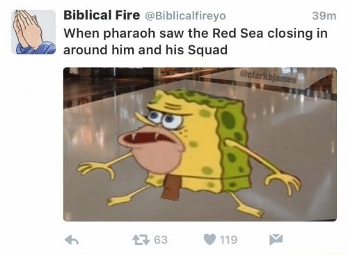 Biblical Fire @Biblicalfireyo When pharaoh saw the Red Sea closing in ...