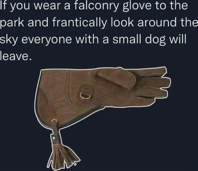 If you wear a falconry glove to the park and frantically look around ...