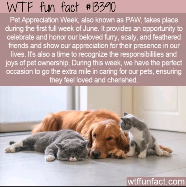 WTF fun fact #12340 Pet Appreciation Week, also known as PAW, takes ...