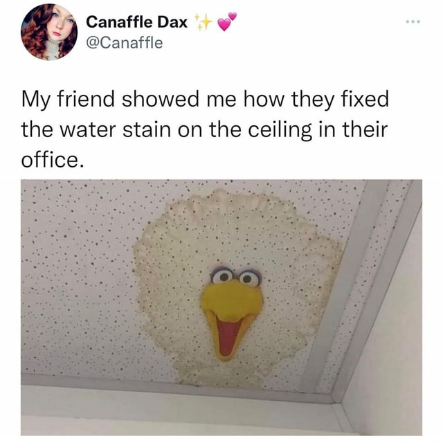 This makes sense to me. Follow @kalesalad for wholesome memes!!! - My ...