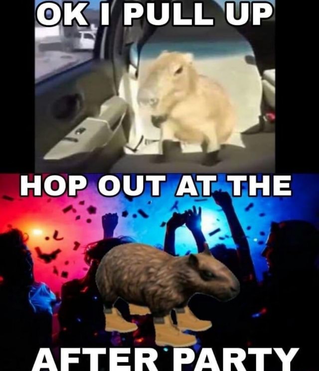 OK PULL UP HOP OUT AT THE AFTER PARTY - iFunny
