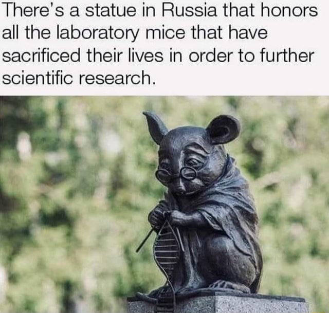 There's a statue in Russia that honors all the laboratory mice that ...