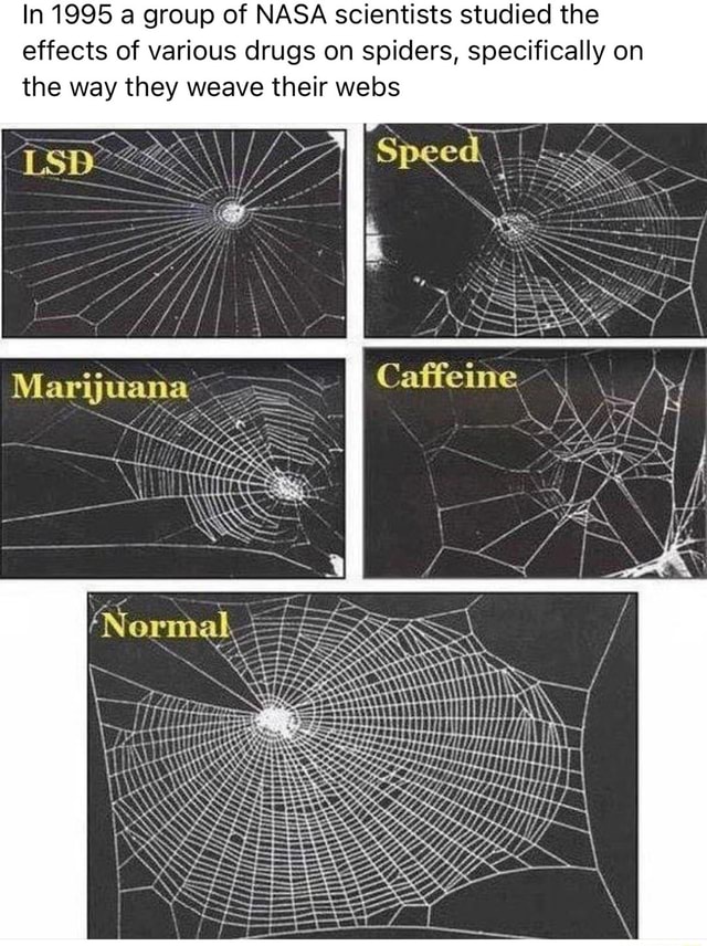 In 1995 a group of NASA scientists studied the effects of various drugs ...