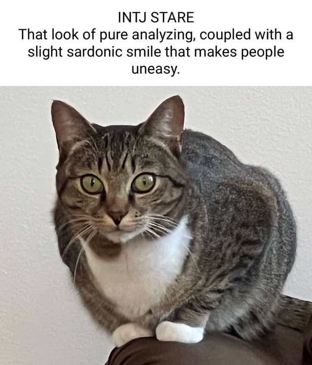 INTJ STARE That look of pure analyzing, coupled with a slight sardonic ...