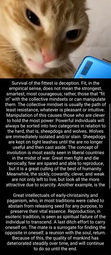 Survival of the fittest is deception. Fit, in the empirical sense, does ...