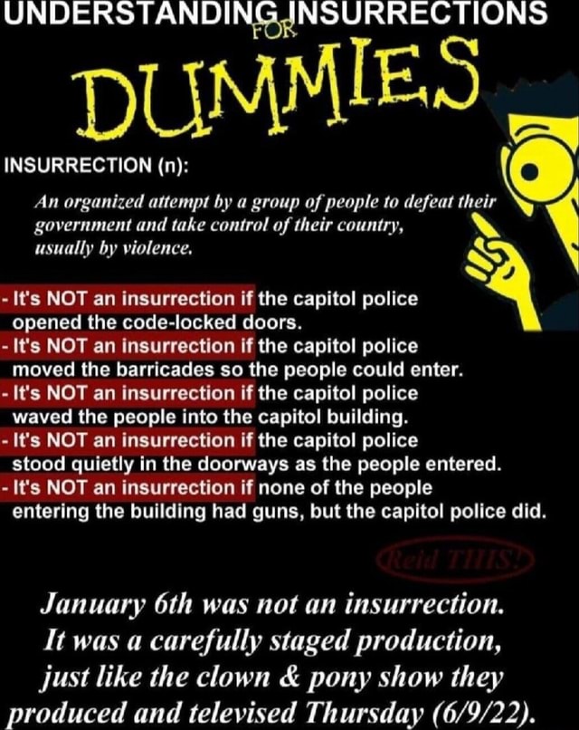 UNDERSTANDING INSURRECTIONS INSURRECTION (n): An organized attempt by a ...