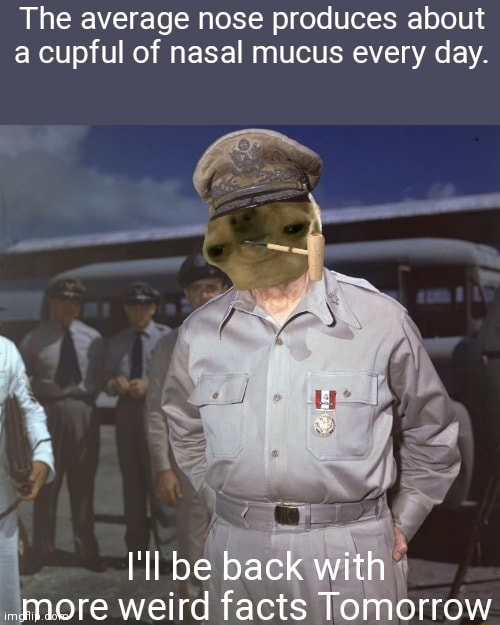 The average nose produces about a cupful of nasal mucus every day. I'll ...