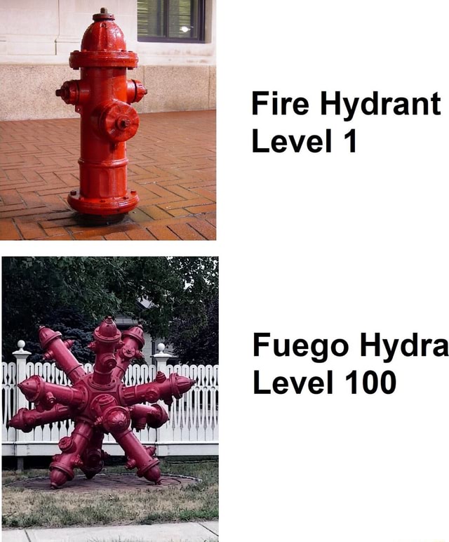 Fire Hydrant Level 1 Fuego Hydra Level 100 - iFunny