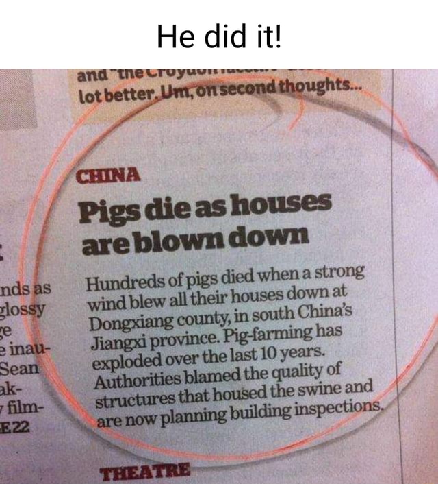 It! and "the tot dthoughts... Rigs of pigs phena province. Pig Over 10 ...