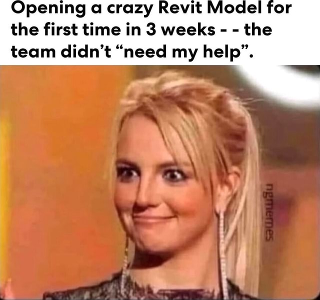 Opening a crazy Revit Model for the first time in 3 weeks - - the team ...