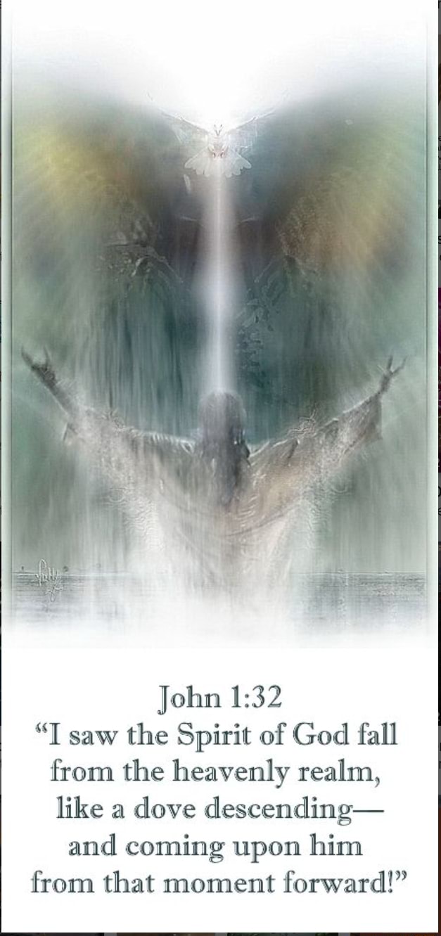 John "I saw the Spirit of God fall from the heavenly realm, like a dove ...