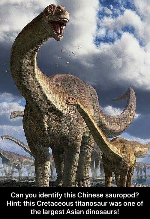 Can you identifythis Chinese sauropod? Hint: this Cretaceous titanosaur ...