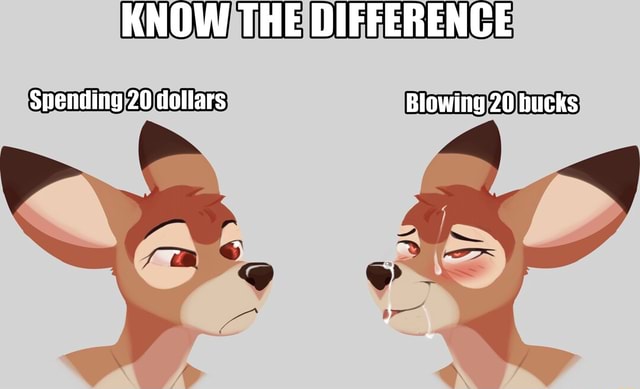 KNOW THE DIFFERENCE Spenting 20 dollars Blowing 20 bucks - iFunny