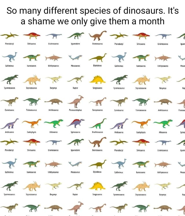 So many different species of dinosaurs. It's a shame we only give them ...