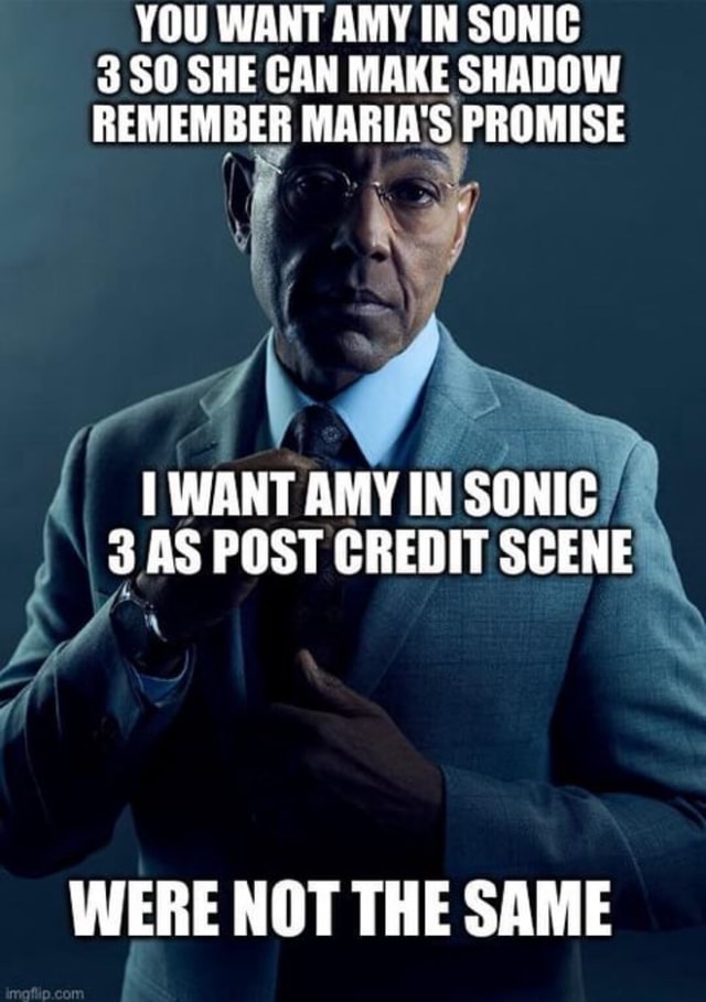 YOU WANT AMY IN SONIC SO SHE CAN MAKE SHADOW REMEMBER MARIA'S PROMISE I ...
