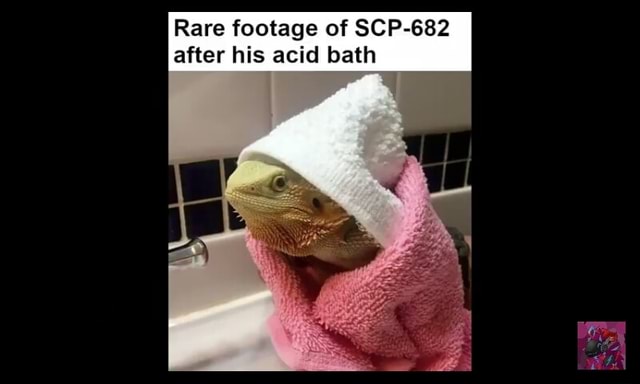 Rare footage of SCP-682 after his acid bath - iFunny