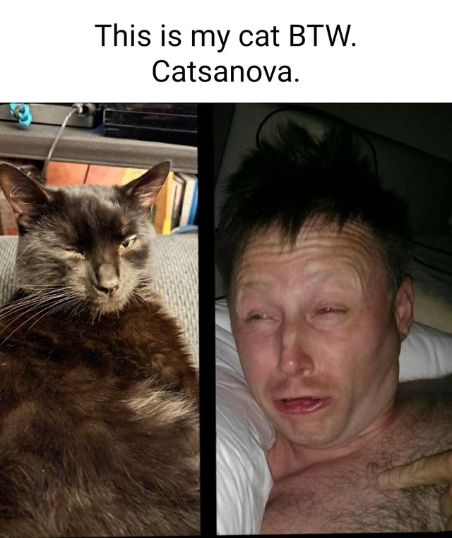 This is my cat BTW. Catsanova. - iFunny