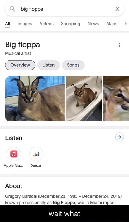 Big floppa x All Images Videos Shopping +News Maps Big floppa Musical ...