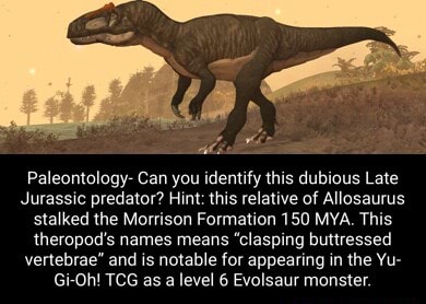 Paleontology- Can you identify this dubious Late Jurassic predator ...