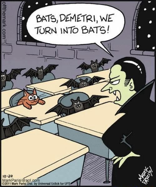 #cat #bats #school #funny #oops - BATS, DEMETRI, WE TURN INTO BATS ...