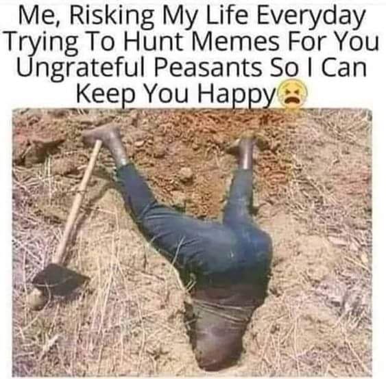 Me, Risking My Life Everyday Trying To Hunt Memes For You ngrateful ...