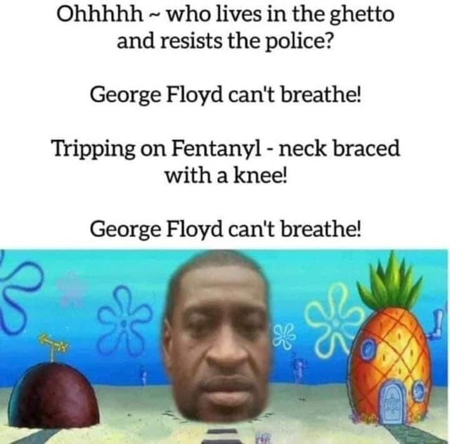 Ohhhhh ~ who lives in the ghetto and resists the police? George Floyd ...