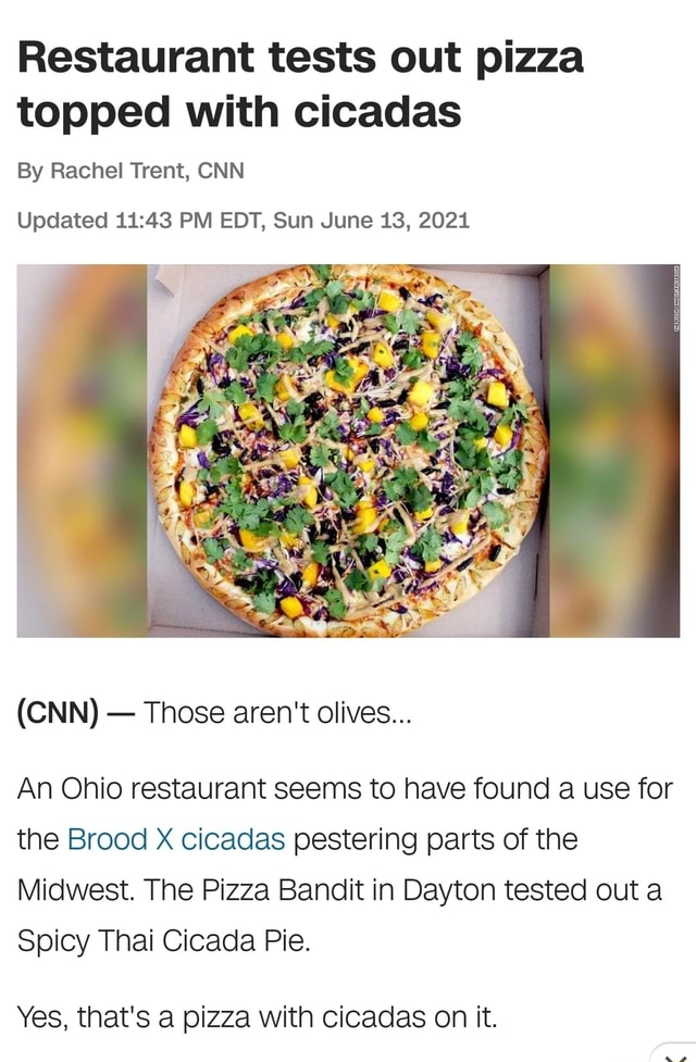 Restaurant tests out pizza topped with cicadas By Rachel Trent, CNN ...