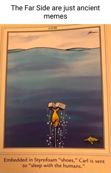 The Far Side are just ancient memes Embedded in Styrofoam "shoes," Carl ...
