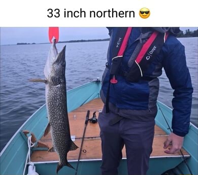 33 inch northern - iFunny