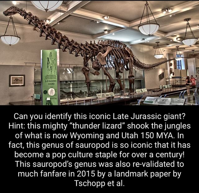 Se, Can you identify this iconic Late Jurassic giant? Hint: this mighty ...