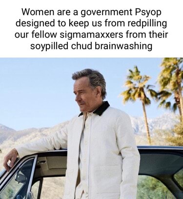 Women are a government Psyop designed to keep us from redpilling our ...