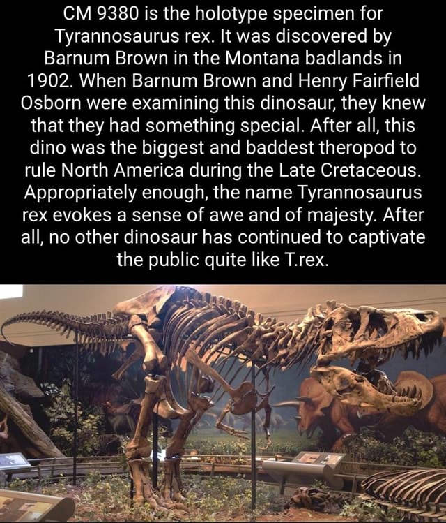 CM 9380 is the holotype specimen for Tyrannosaurus rex. It was ...