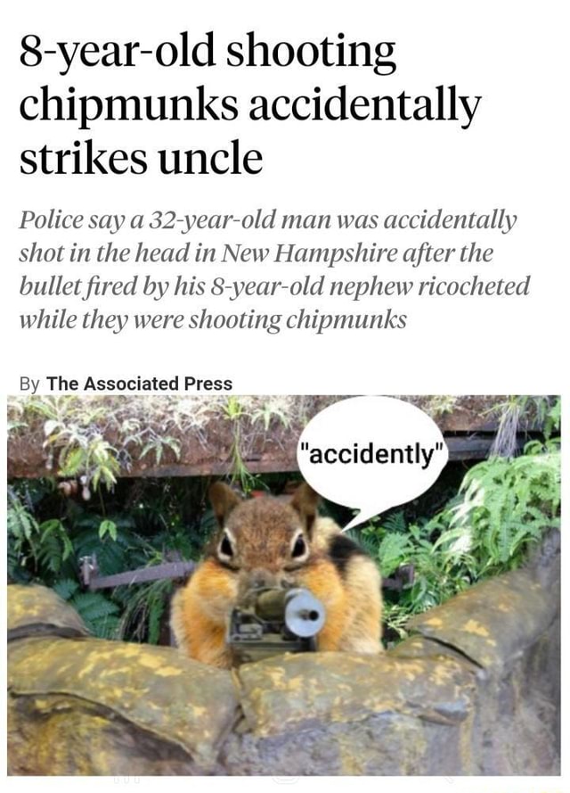 Chipmunk Hunt Goes Wrong - 8-year-old shooting chipmunks accidentally ...