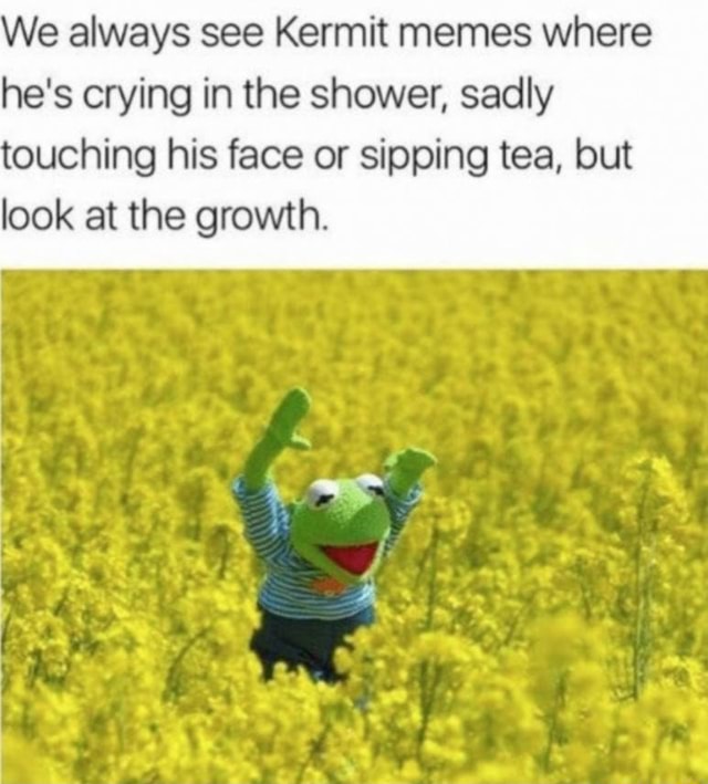We always see Kermit memes where - 's crying in the shower, sadly ...