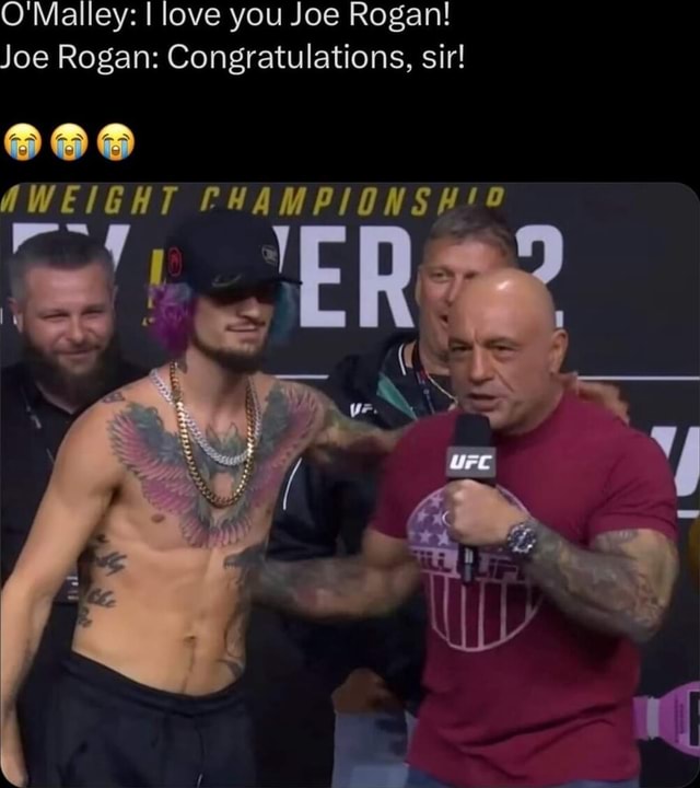 O'Malley: I love you Joe Rogan! Joe Rogan: Congratulations, sir! - iFunny