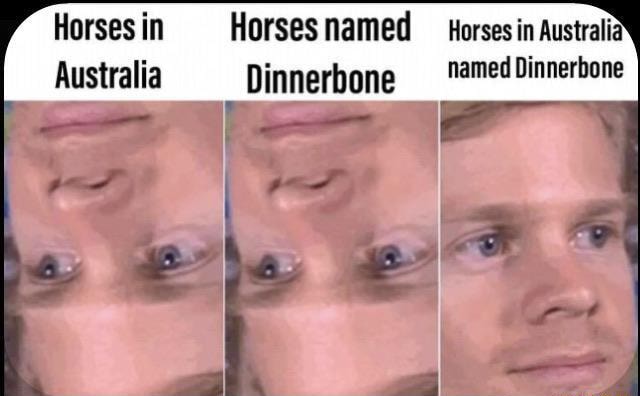 Horses named Horses in Australia Dinnerbone namedDinnerbone Horses in ...