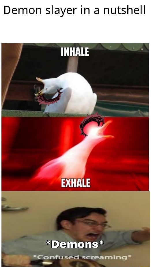 Demon slayer in a nutshell INHALE EXHALE *Demons* "Confused - iFunny