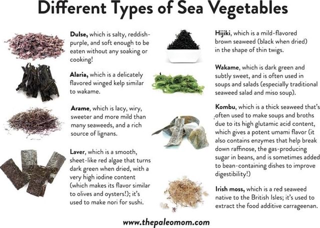 Different Types of Sea Vegetables Dulse, which is salty, reddish ...