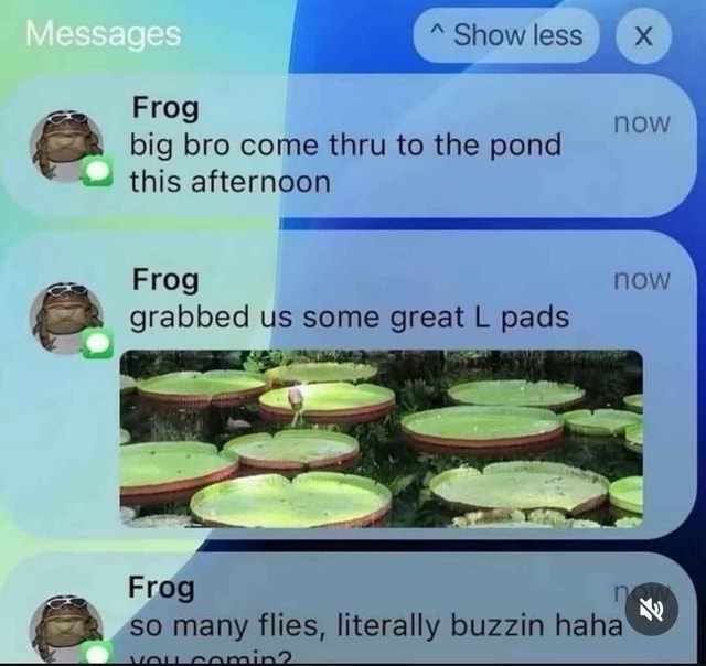 " Show less XX Frog now big bro come thru to the pond this afternoon ...