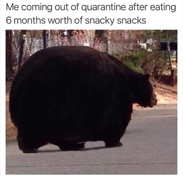 Me coming out of quarantine after eating 6 months worth of snacky ...
