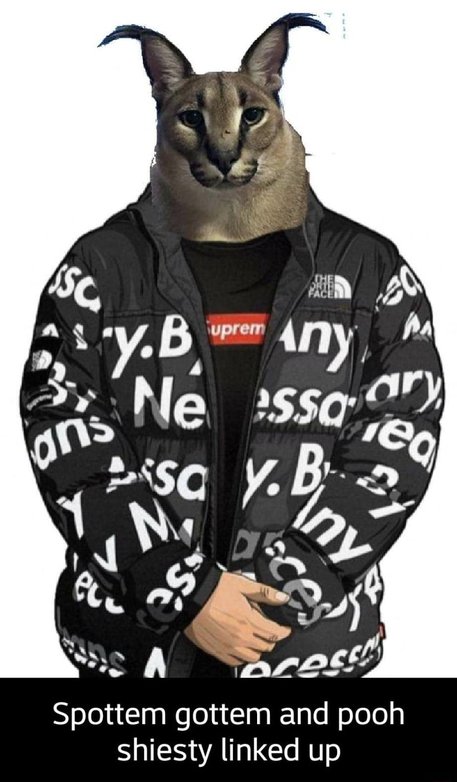 Spottem gottem and pooh shiesty linked up - iFunny