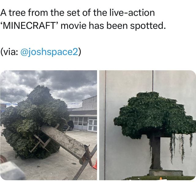 A tree from the set of the live-action 'MINECRAFT' movie has been ...