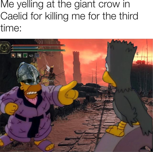 Me yelling at the giant crow In Caelid for killing me for the third ...